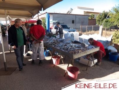 Reisebericht Griechenland: Mit dem Wohnmobil von Patras nach Pylos